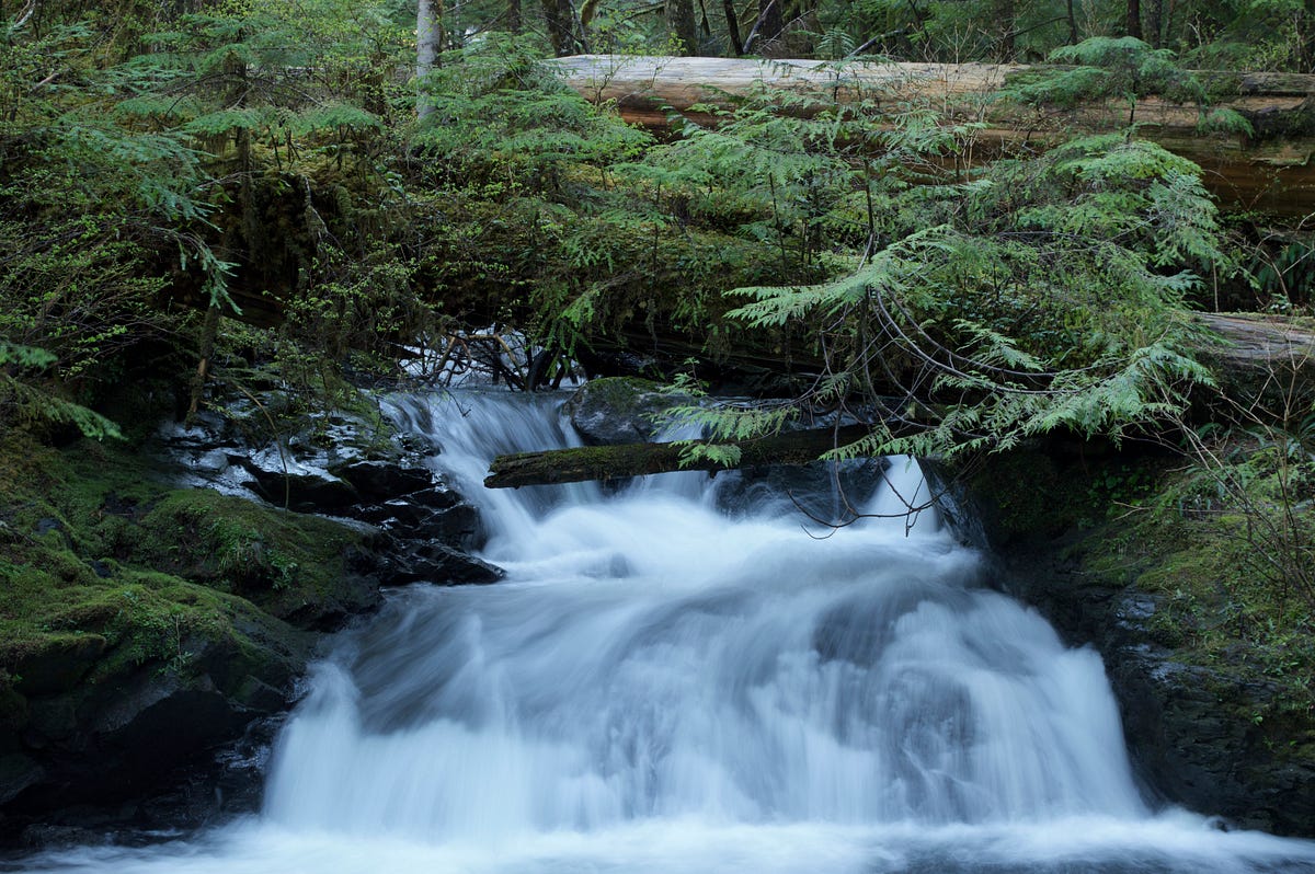 Process Dynamodb Streams With Lambda By Maciek Wątroba Aws In Plain 2599