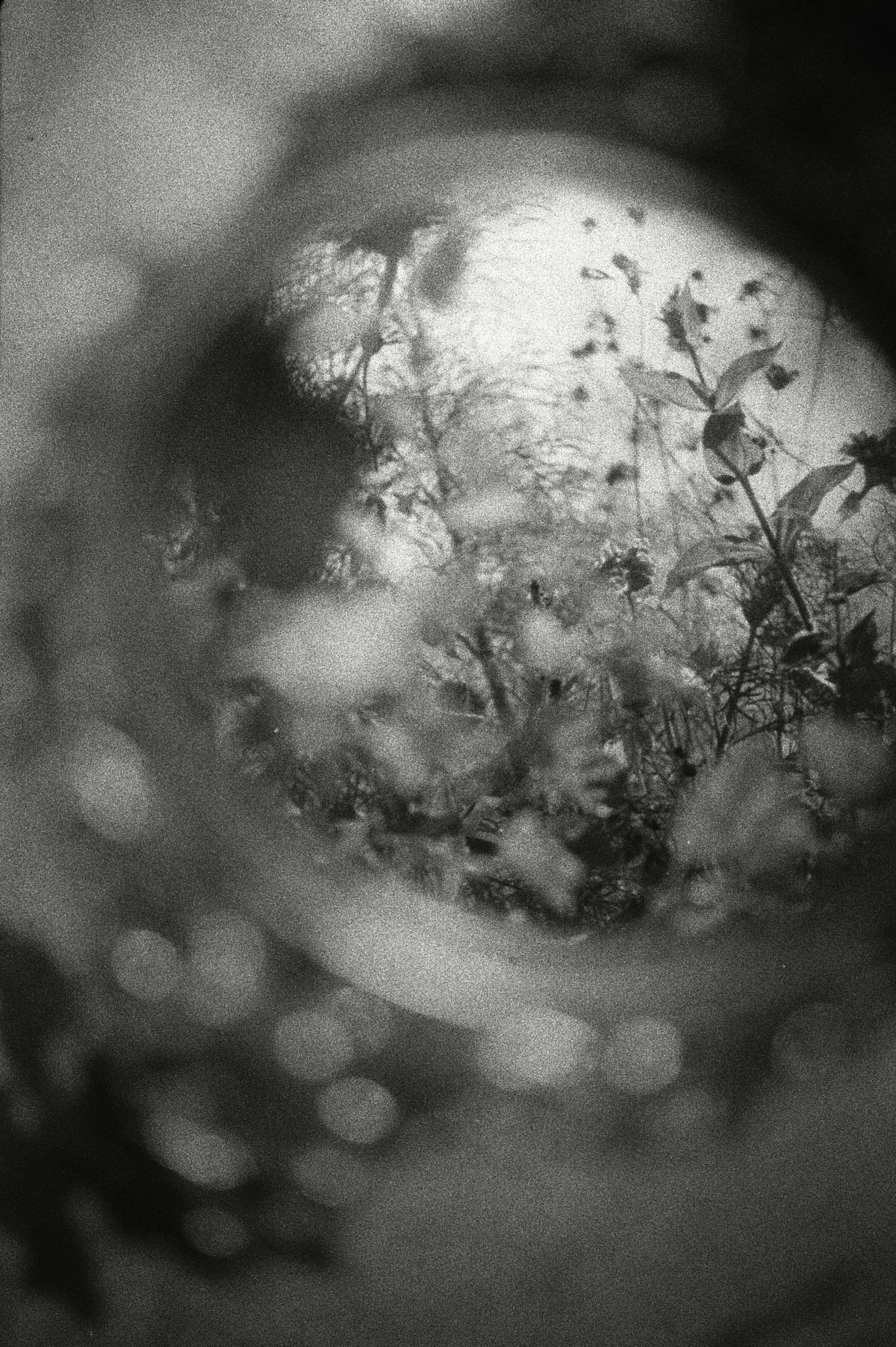 Dua jalan dan dua arah. Photo by chloe combs on Unsplash | by ...