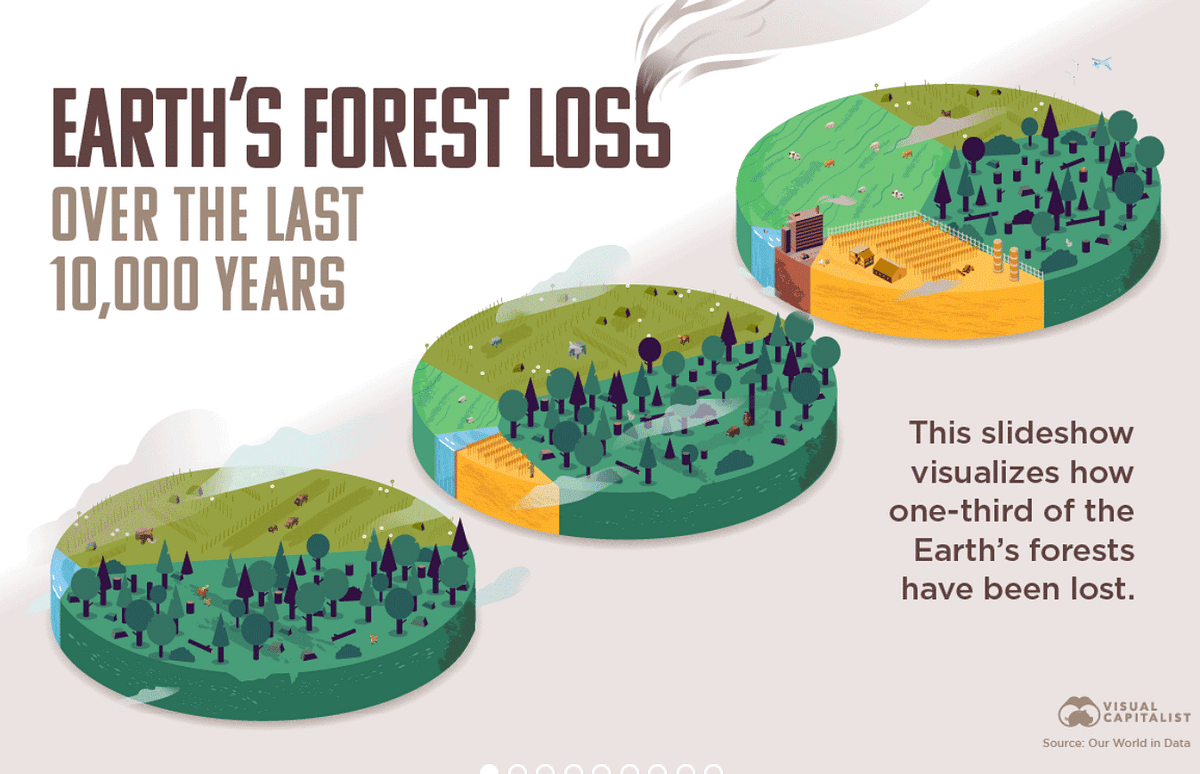 The Deforesting of a Planet - Eric Lee - Medium