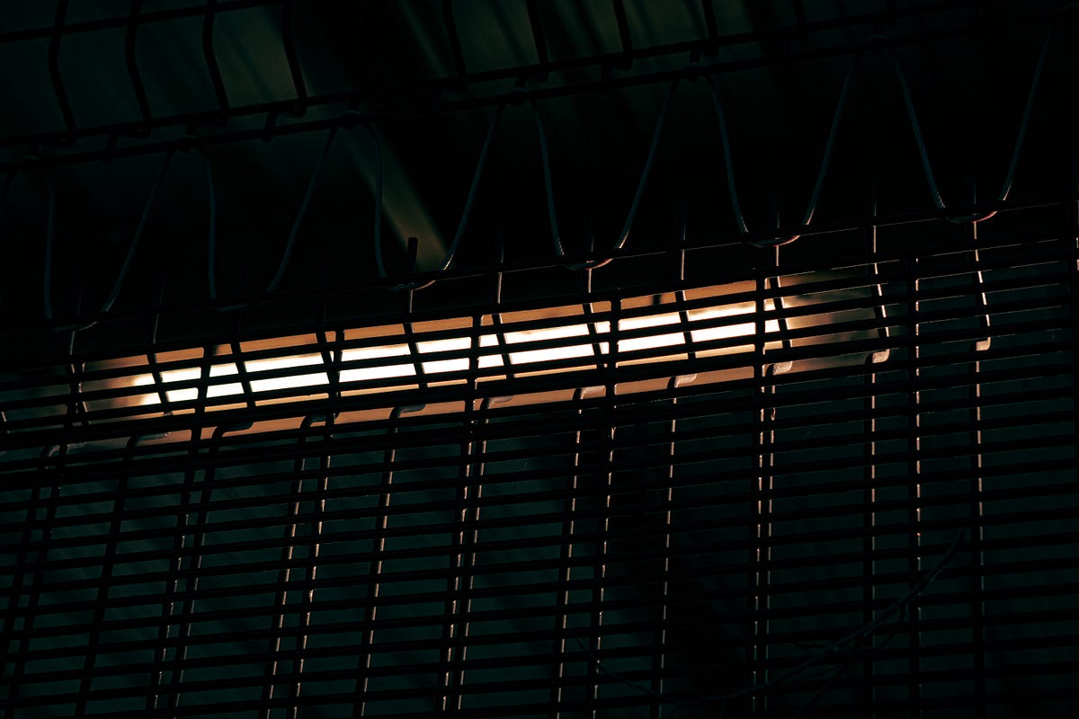 Shadows In The Hollow. A Tale Of Dread | by Home With Kiley | Medium