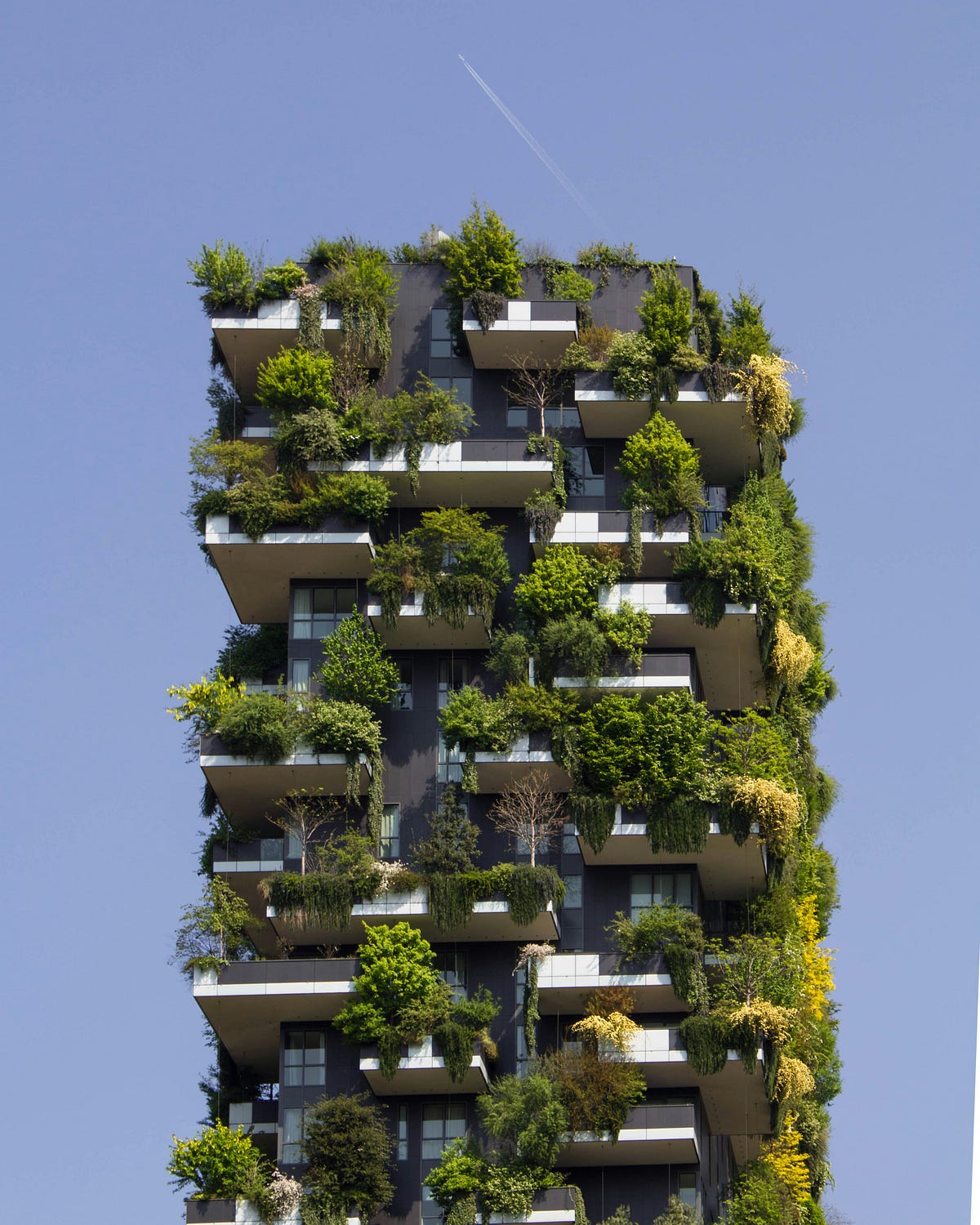 Sustainable Marvels: Exploring the Depths of Green Building Innovations ...