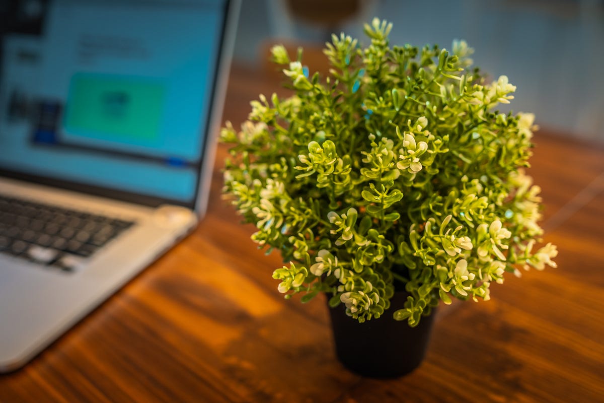 474. Ones and Zeroes: Leetcode Step-by-Step Approach | by Sheefa Naaz | Medium