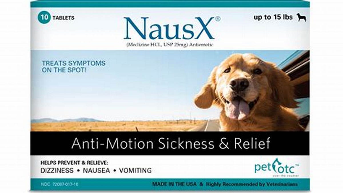 Unleashing the Power of Anti Nausea Medicine for Dogs: Discoveries and ...