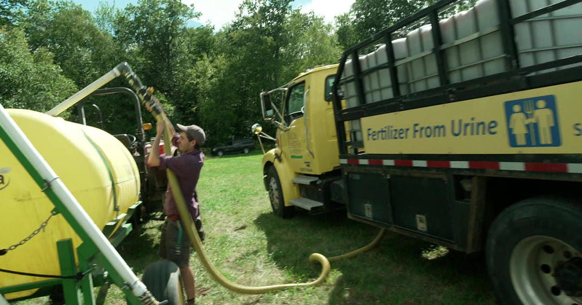 From Pee to Plants: The Revolutionary Fertilizer Made from Human Urine ...