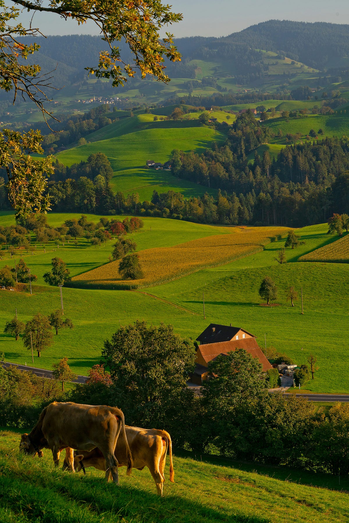 Best Camera for Rural Photography | by Ibrahim | Medium