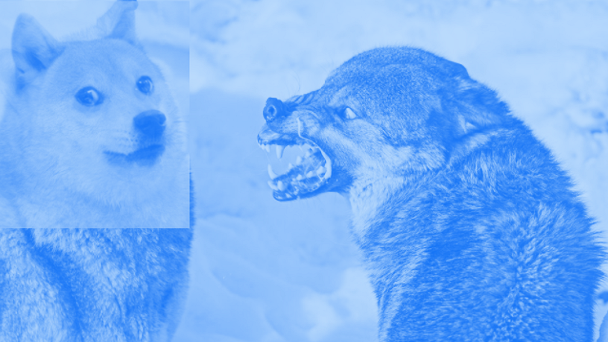 Understanding Memecoins: Don’t doubt the Doge | by Xen Baynham-Herd ...