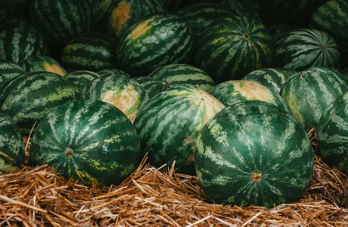 Beware of the Exploding Watermelons | by Kat Spencer | Punchy Lite ...