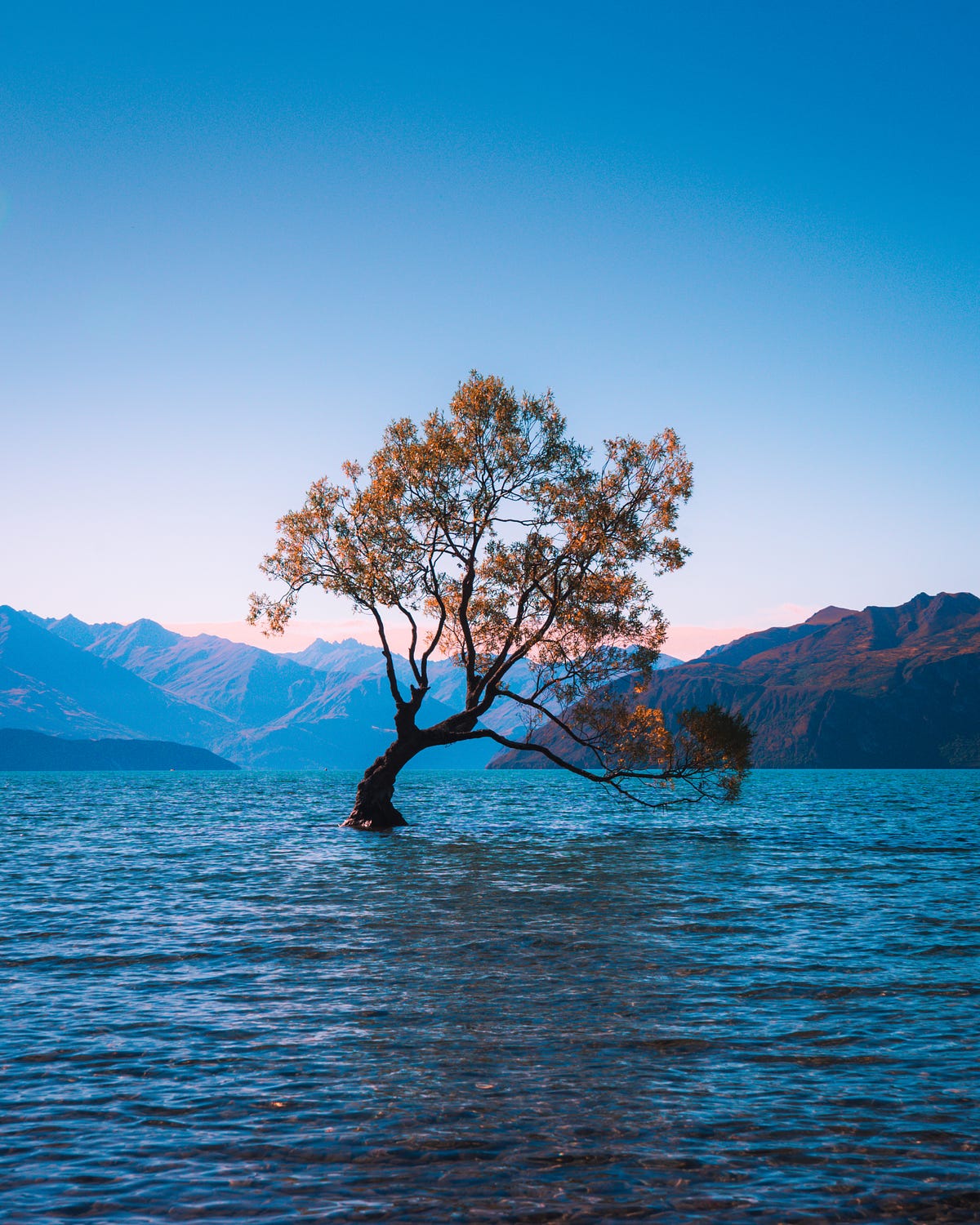 Natural remedies that help with ED | by Justin | Medium