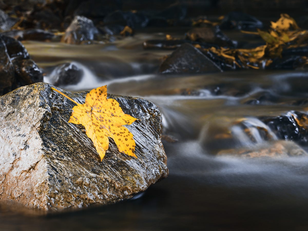 The Things Water Can Teach Us. Discipline, Consistency, And… | by ...