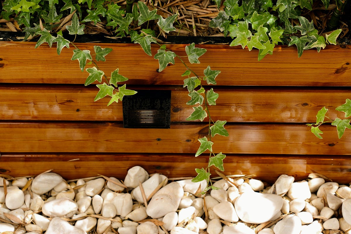 Export ‘default’ (imported as ‘thunk’) was not found in ‘redux-thunk’ (possible exports: thunk ...