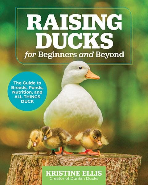 Raising Ducks for Beginners and Beyond: The Guide to Breeds, Ponds ...