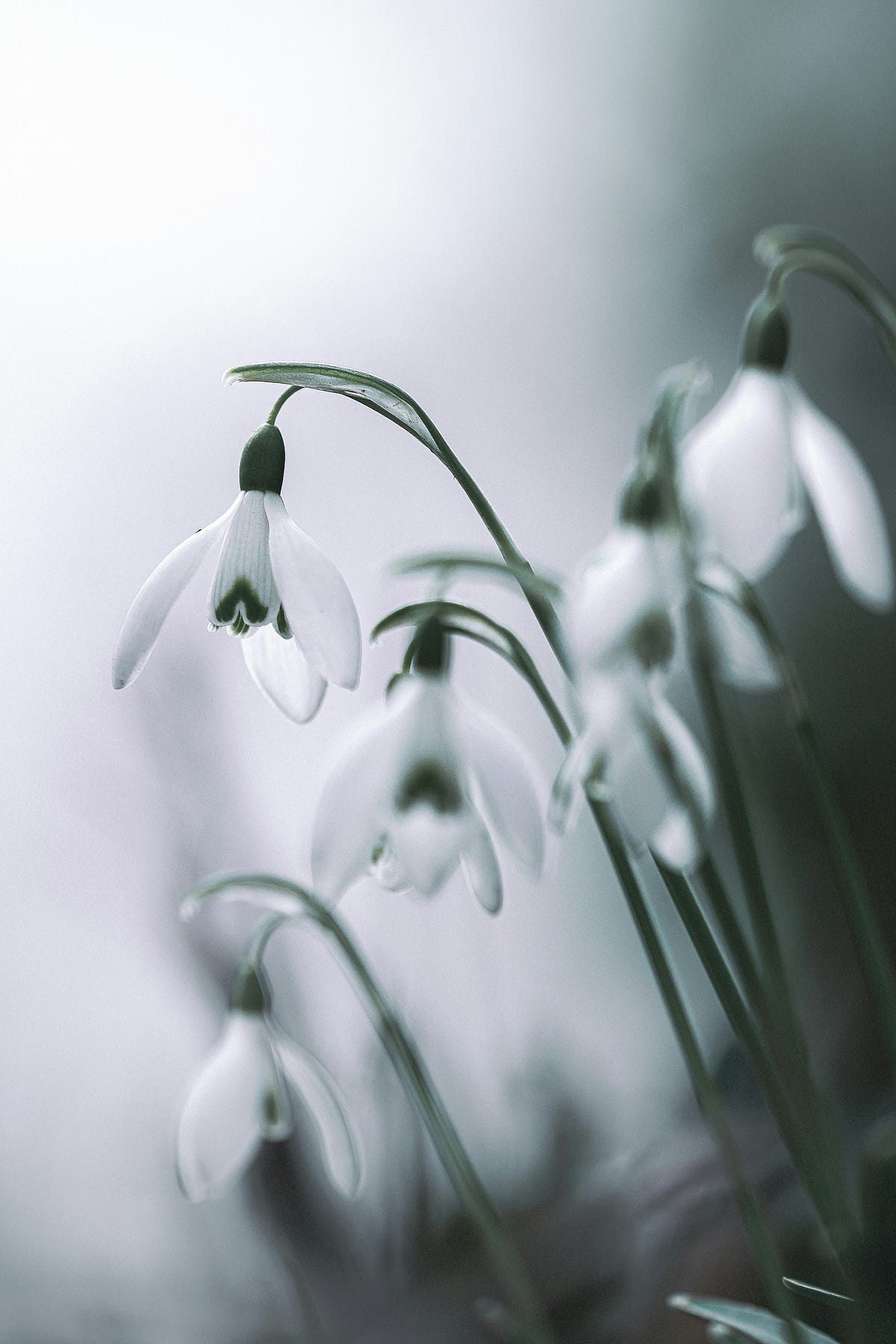 BEAUTIFUL YESTERDAY ( REMINISCENCE) //Poem by_ Rita Peter Okoro_ | by ...