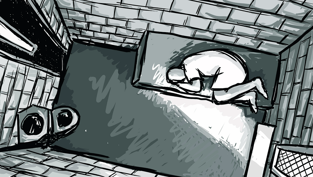 Alone With Your Thoughts: The Reality of Solitary Confinement in ...