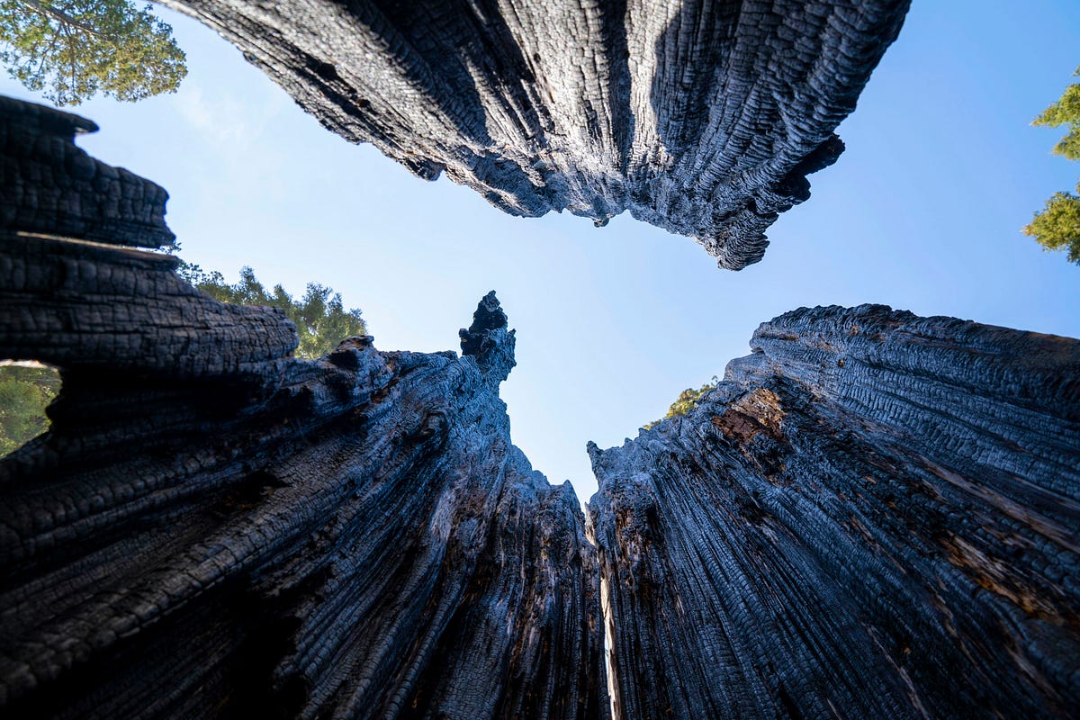 When Success Feels Hollow: Facing the Void After Achievement | by Kawaii Lofi Kitten | Medium