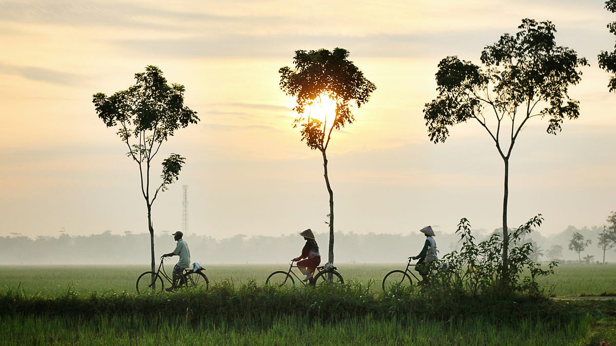 When the Sun Walks with RMF: A Day Where Hope Has Footsteps | by Aditi ...