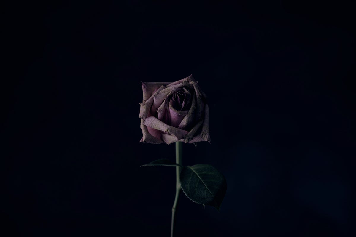 Death Is a Blessing. Have you ever been shot? Have you ever… | by ...