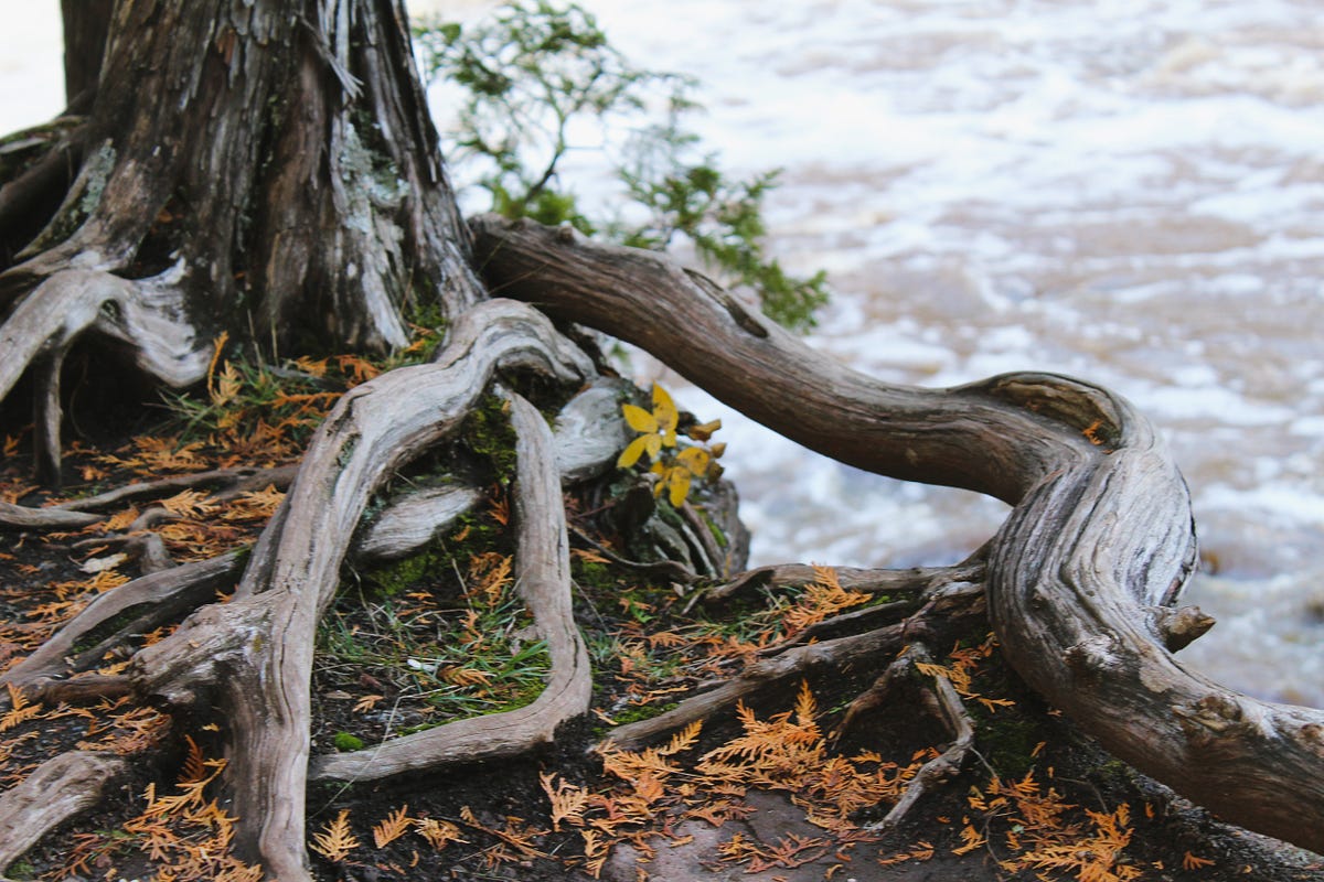 React Native: Add Alias Path Module Resolution to Your Project | by ...