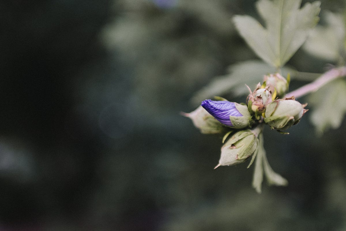 Hope On a Chilly Morning - Channing Teele - Medium