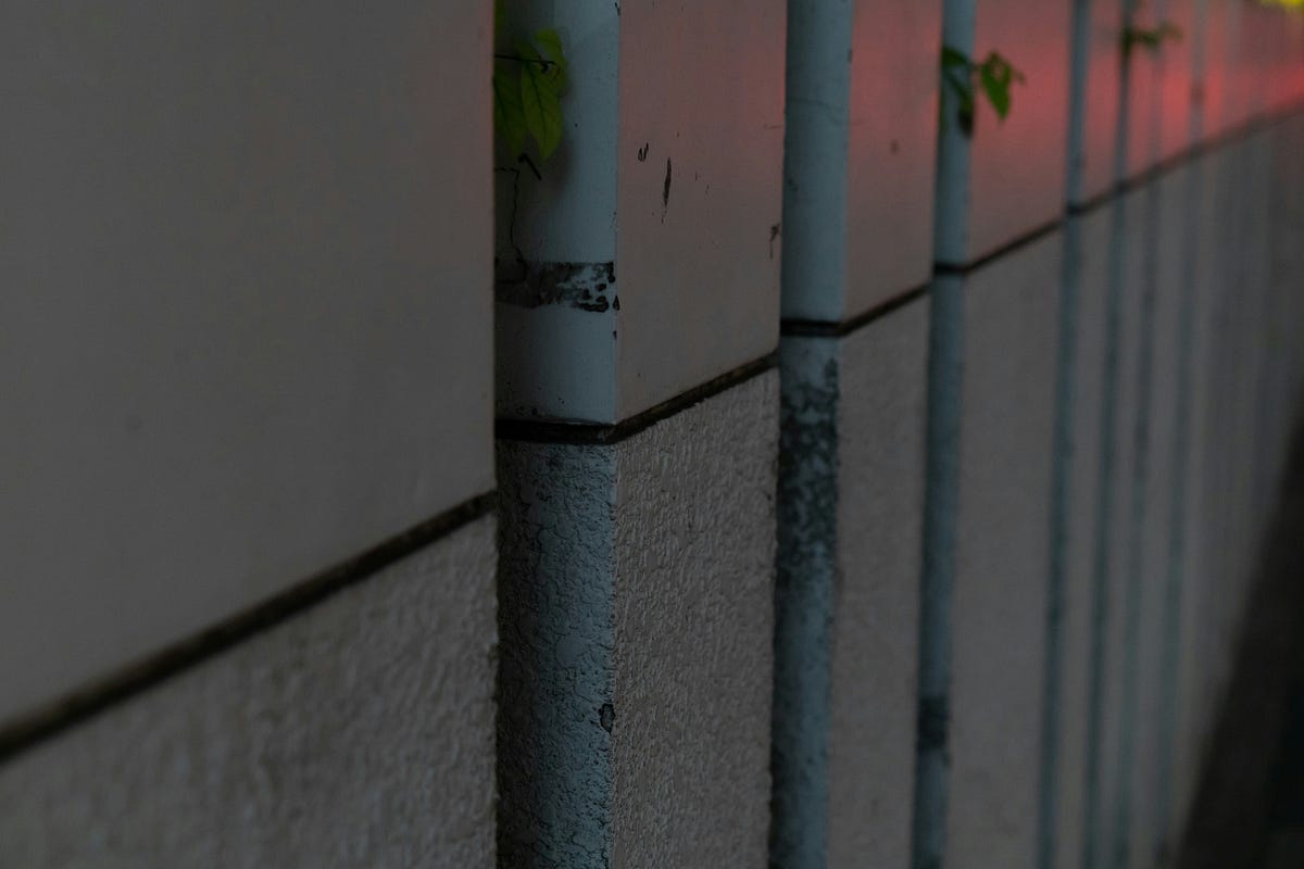 The Importance of Community Reintegration Programs for Former Offenders ...