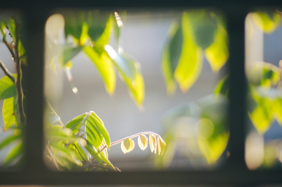 How I Stopped Being Driven by Fear of Falling Behind | by Ashleyalice ...