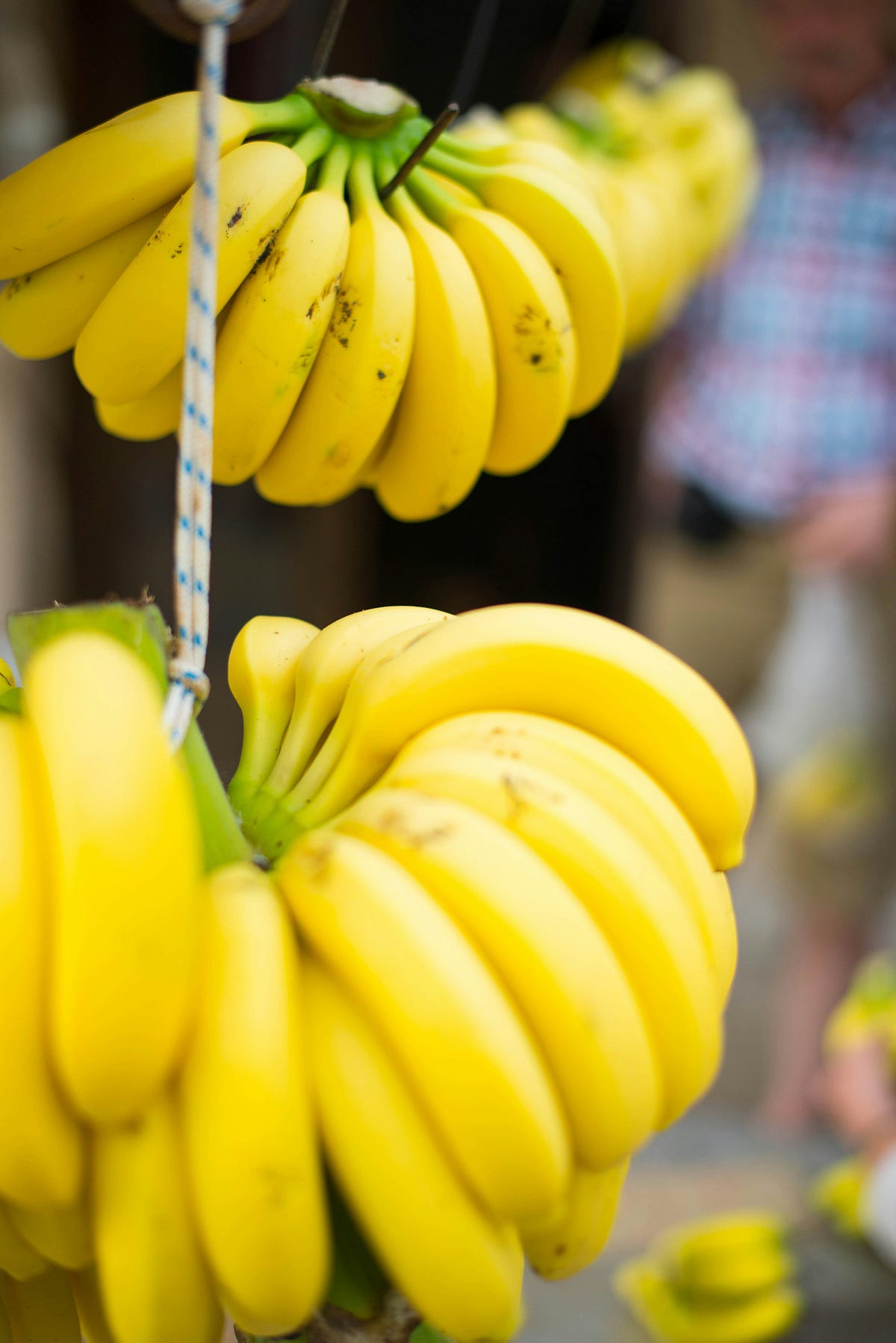 Reap the Health Perks of Daily Bananas | Medium