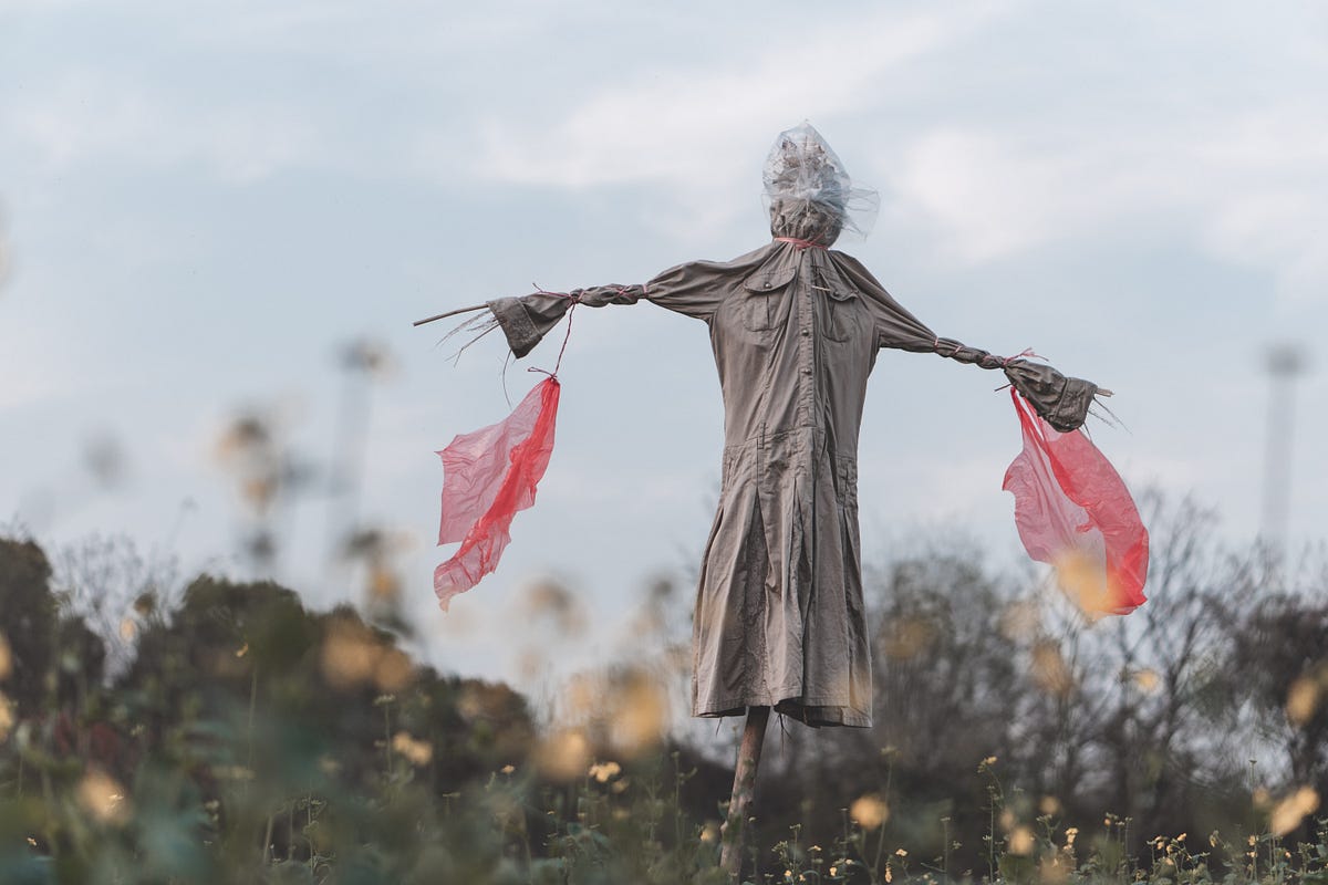 Jesus Scarecrow Christ. Crucifixion as messiah repellent | by Timothy ...