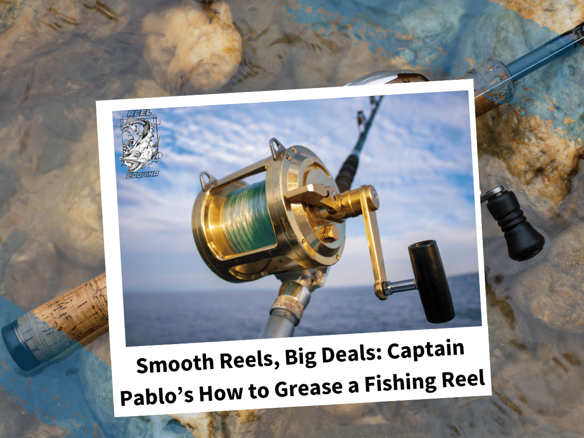 Smooth Reels, Big Deals: Captain Pablo’s How to Grease a Fishing Reel ...
