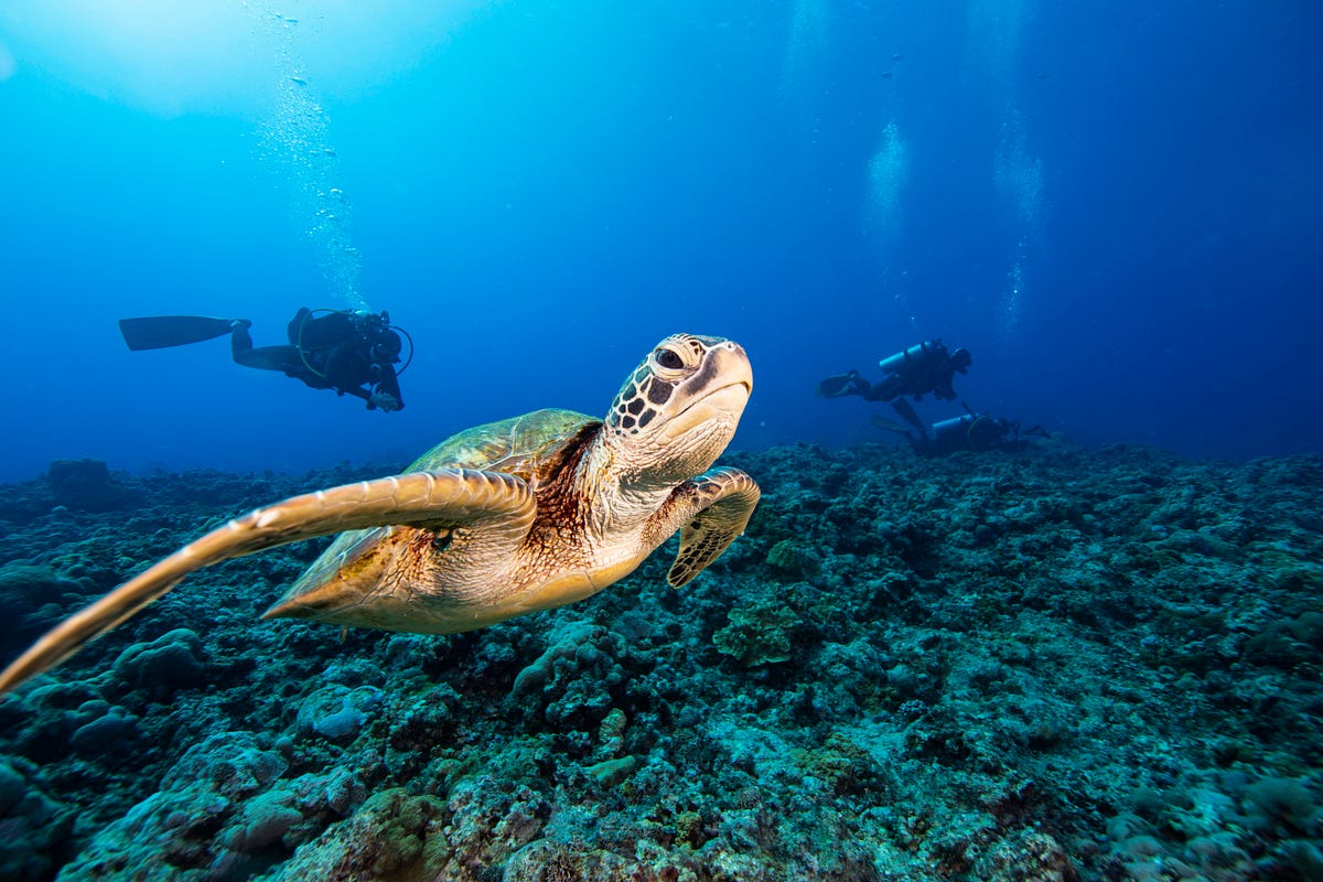 7 Uplifting Science Stories from 2025 | by Scott Christenson🌴 | Dec ...