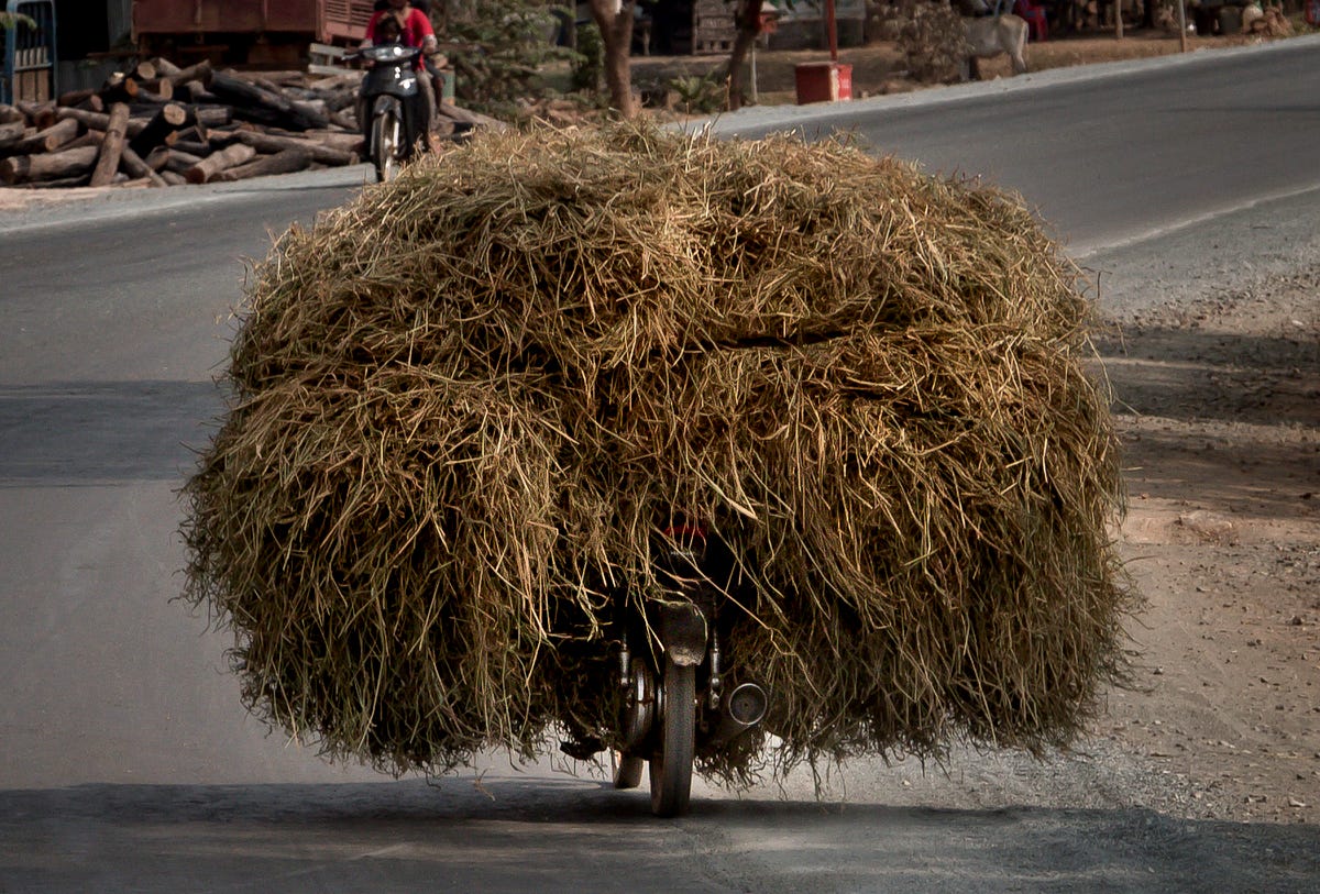 Load Multiline JSON document in Elasticsearch Index(Quick Reads) | by ...
