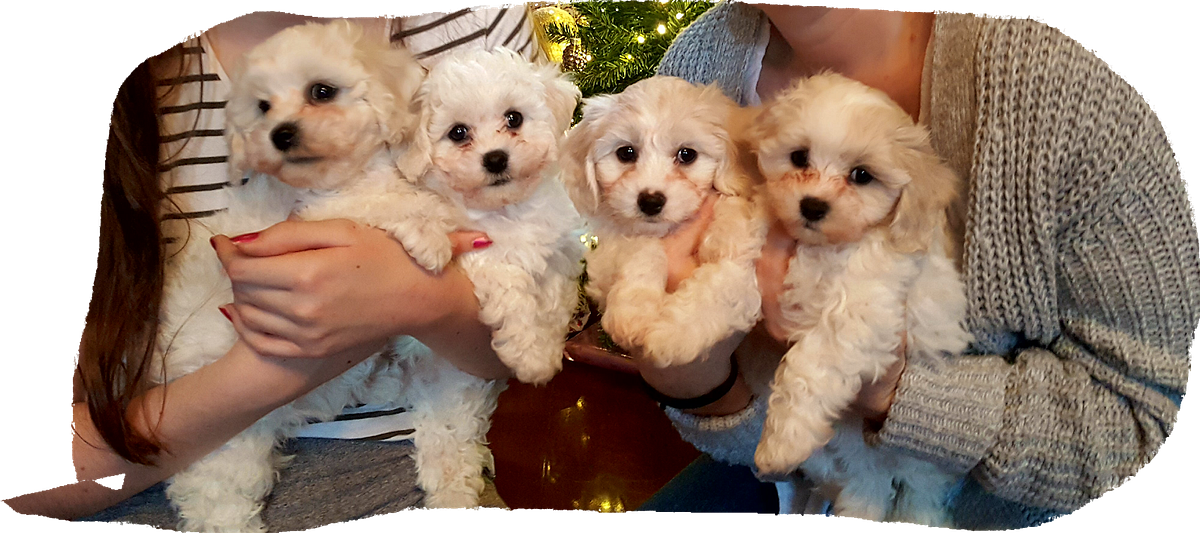 How We’re Using Monitoring to Support Our Increased Availability SLA ...