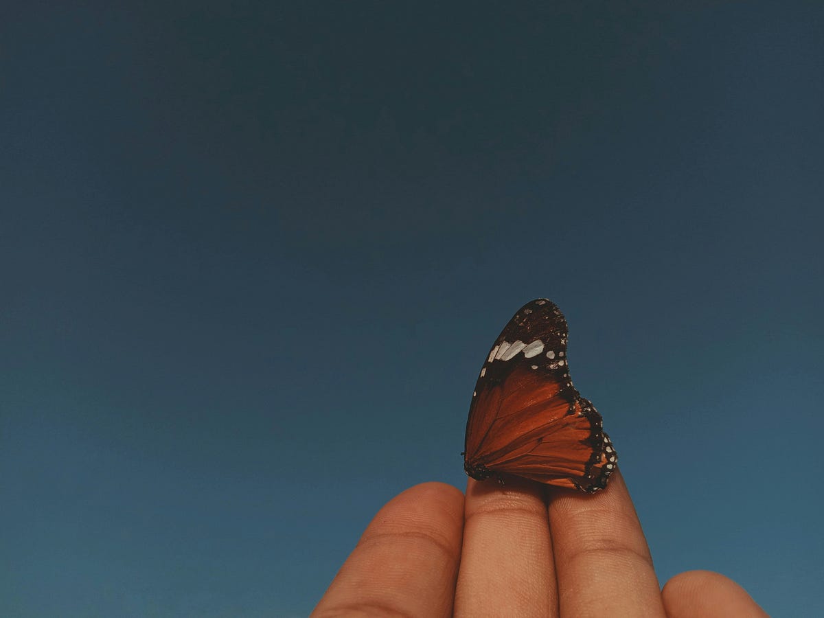 Life isn’t always a b***h. How I lost Instagram forever. | by The Quill | Medium