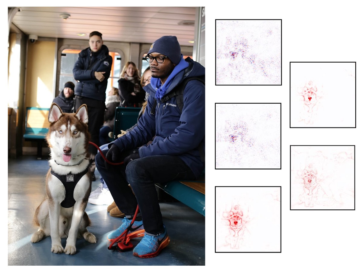 Visualizing Neural Networks’ Decision-Making Process Part 2 | by Agnieszka Pawlak | TDS Archive ...