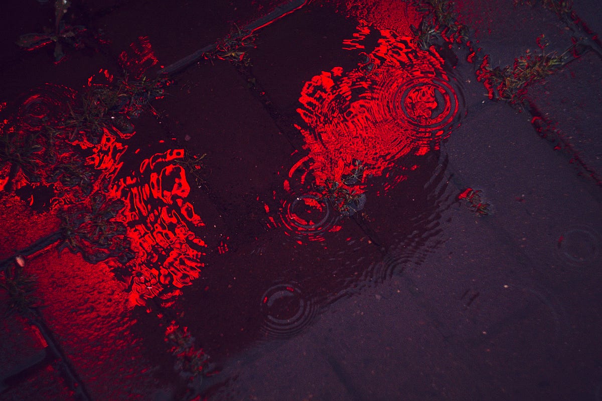 Ten Dark Red Haikus. From birth to fall | by Carlo Zeno | Scuzzbucket | Medium