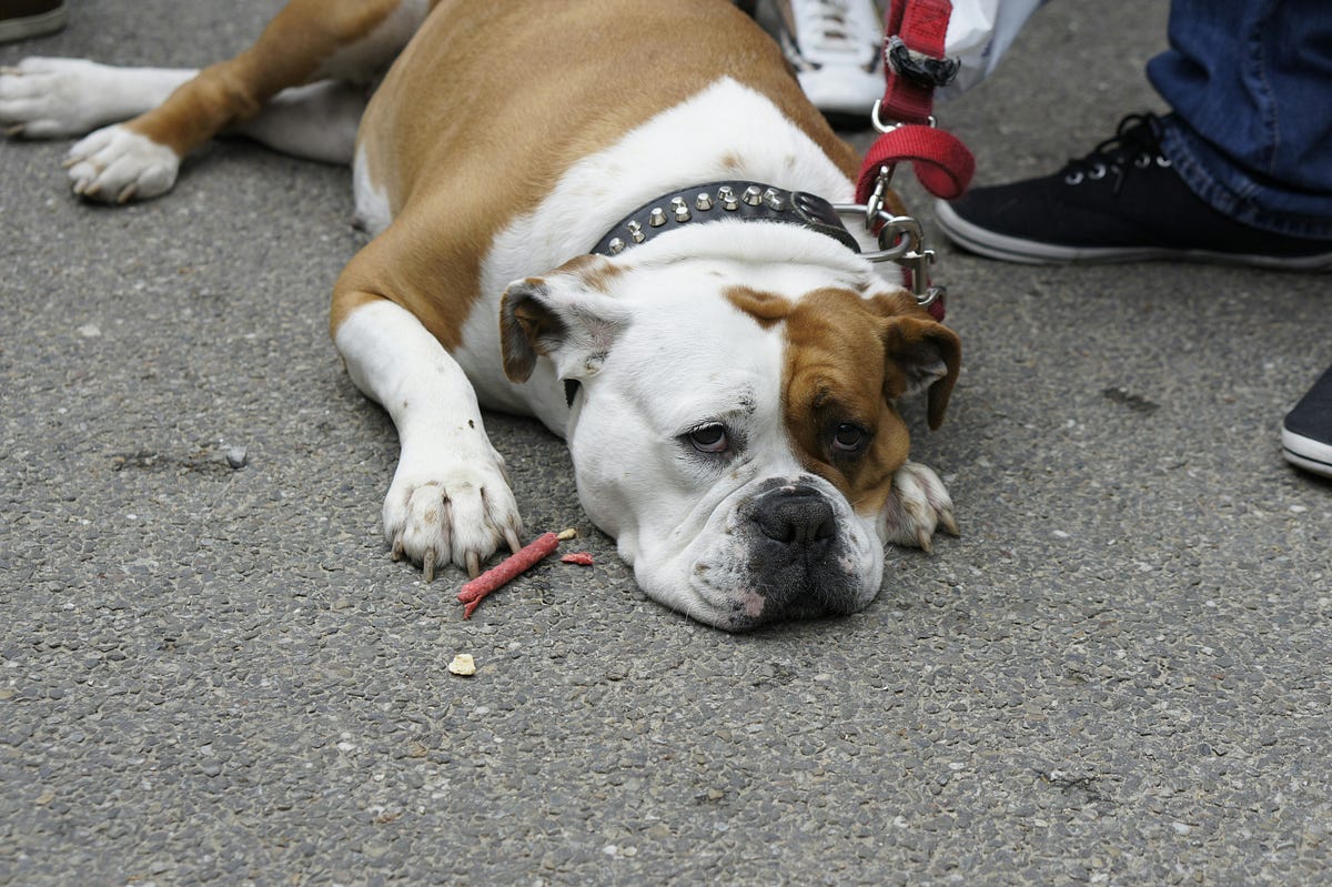 Success Is Boring: Why Most People Fail Before They Even Start | by ...