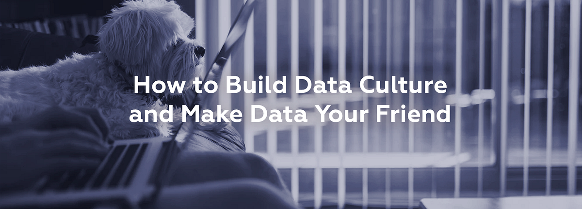 How to Build Data Culture and Make Data Your Friend | by Sciforce ...