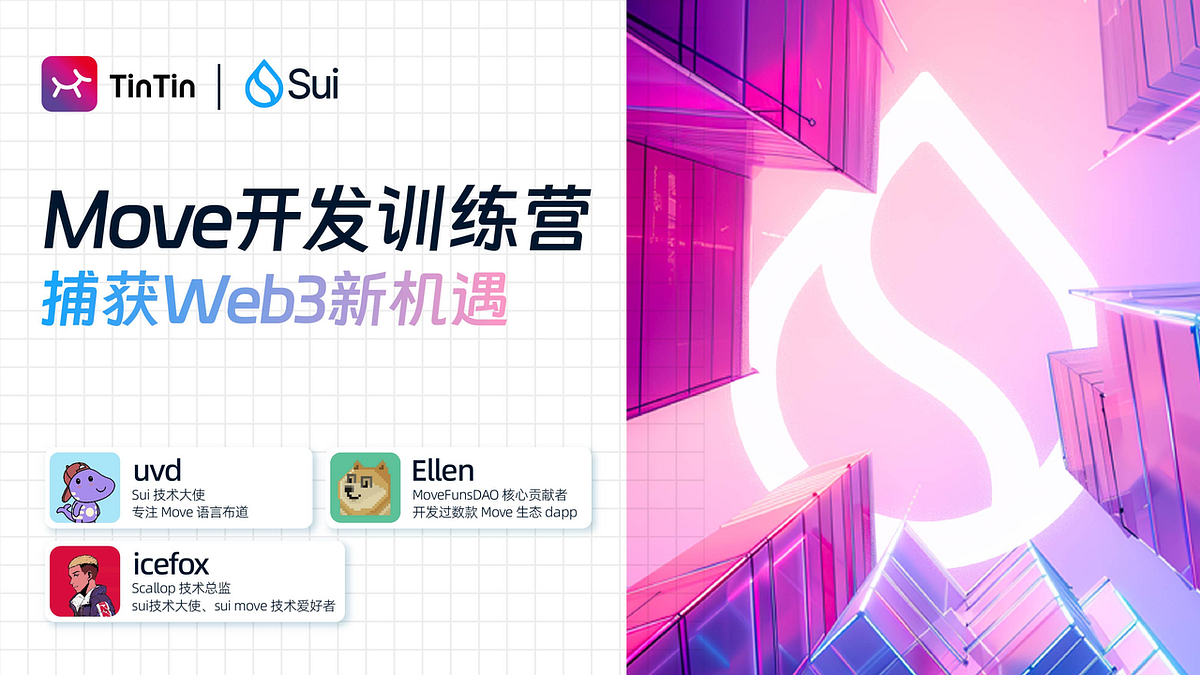 Successful Conclusion of the Move Development Bootcamp! Over 20 ...