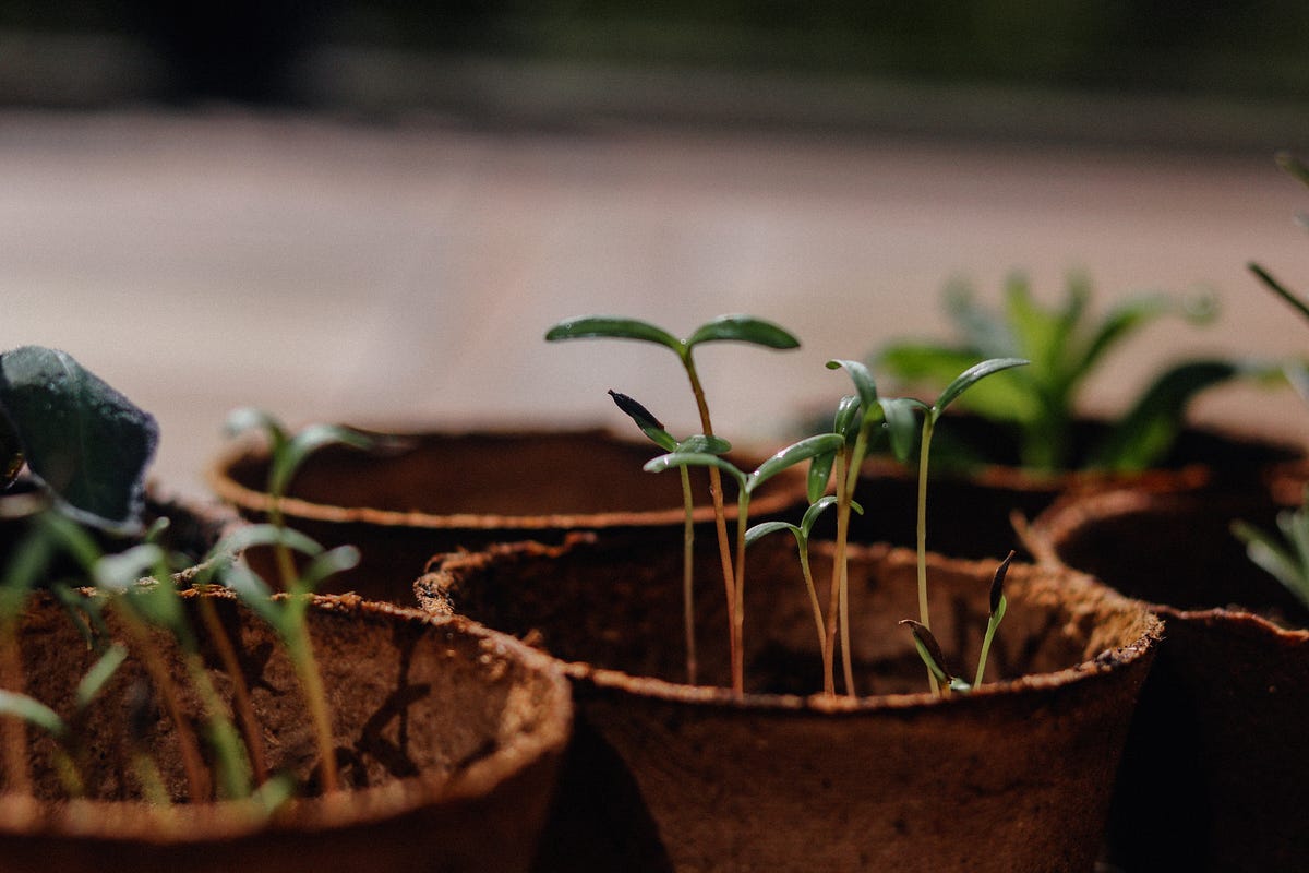 Allow Yourself to Grow: 5 Fundamental Principles to Personal Growth ...