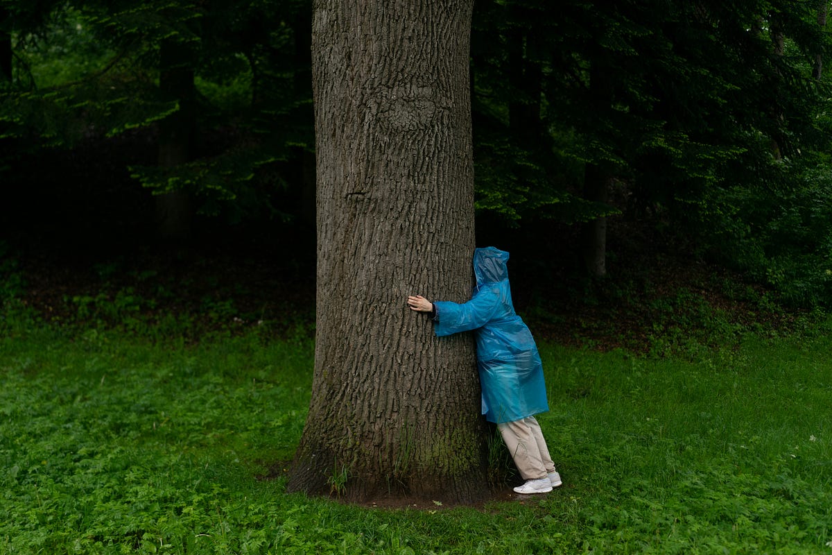 Being Authentic Can Help You Escape Competition. | by Hansel S. | Write ...