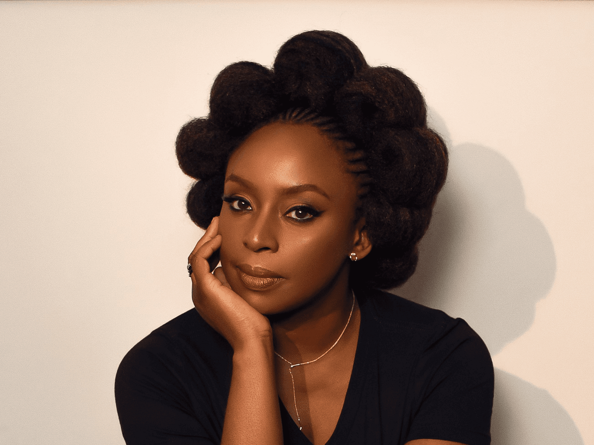 Analysis of Chimamanda Ngozie Adichie’s the Danger of a Single Story | by Muse of scattered mind ...