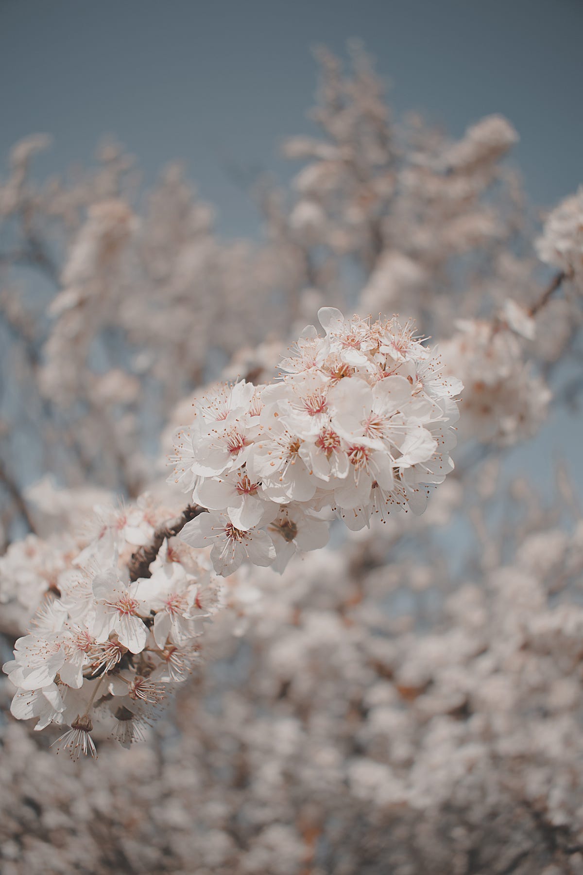 CLOSE YOUR EYES - Buchi Douglas - Medium