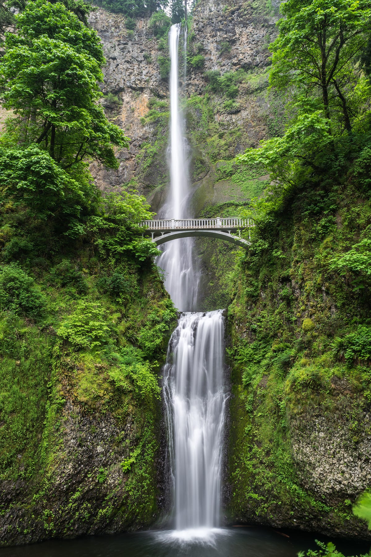 Is Setstate Executed Synchronously Or Asynchronously In React By Programmer Ahui Javascript