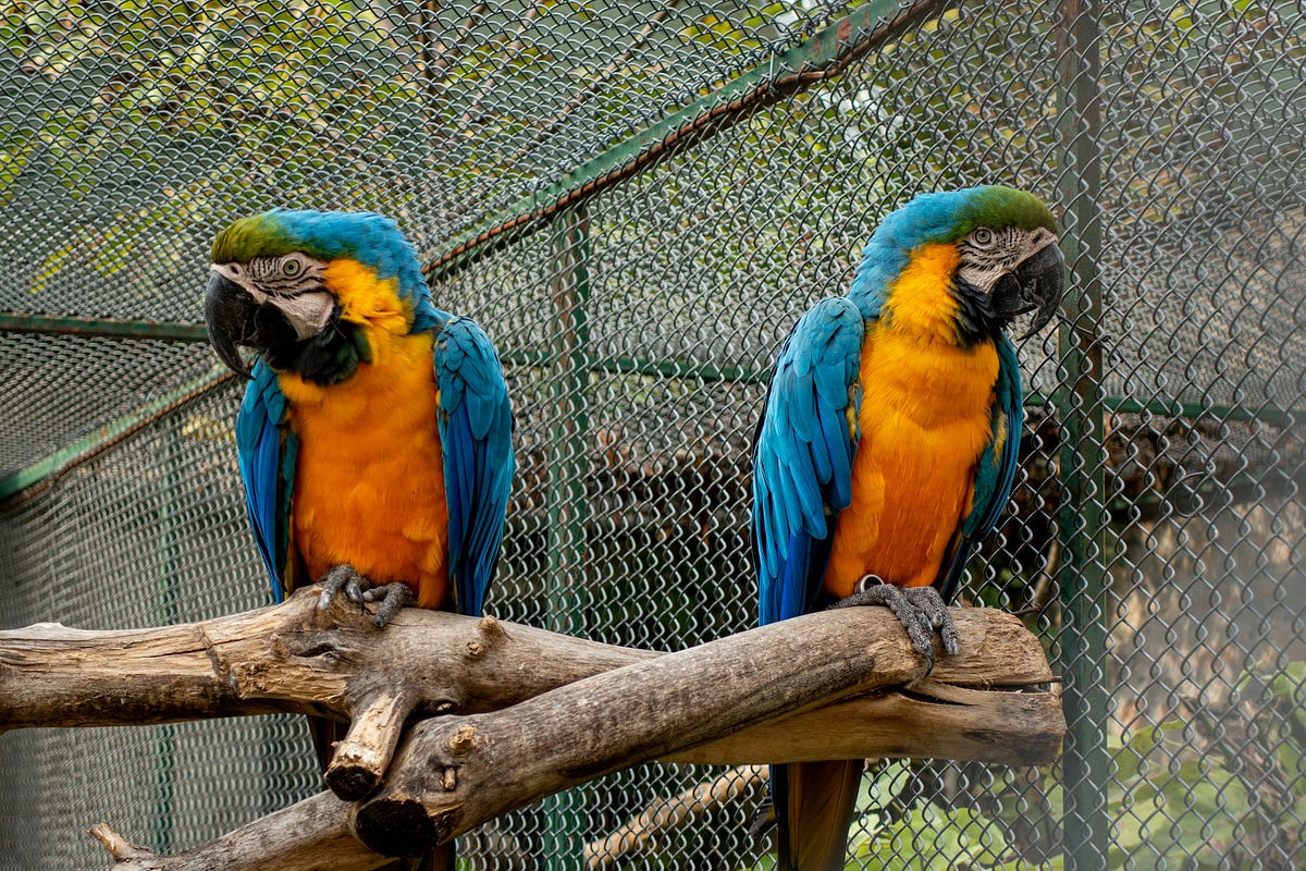 Named And Positional Arguments In Javascript Why Not Both By Excel 