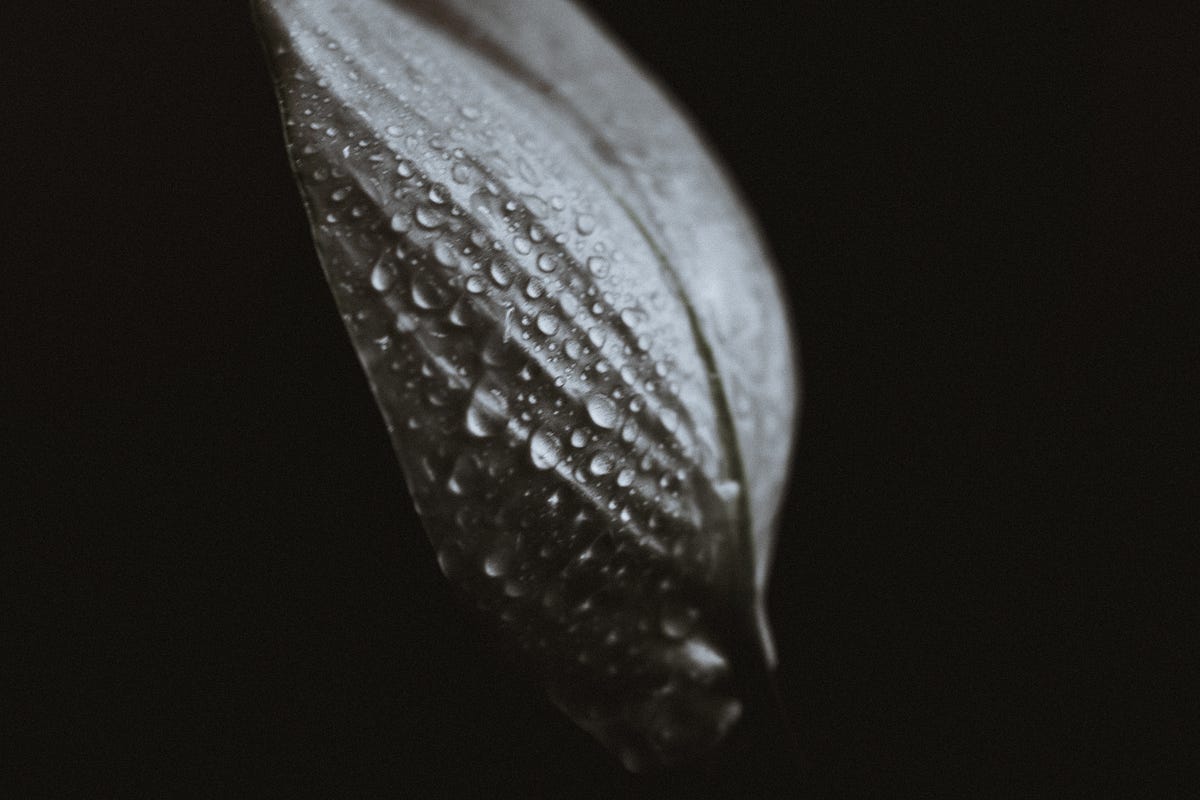 The Unfair Question. Photo by Zara Walker on Unsplash | by Haf ...