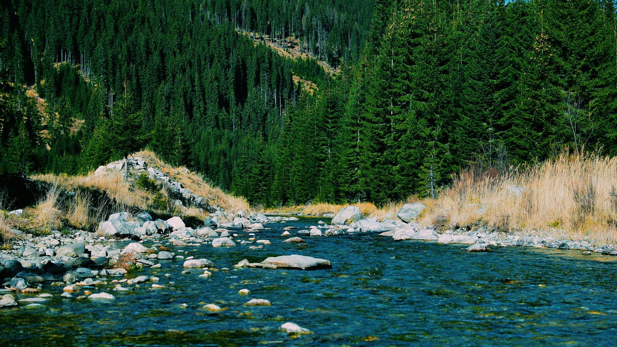 PyQt vs PySide: A Comprehensive Comparison for Python Qt Development | by Charles Wan | Medium