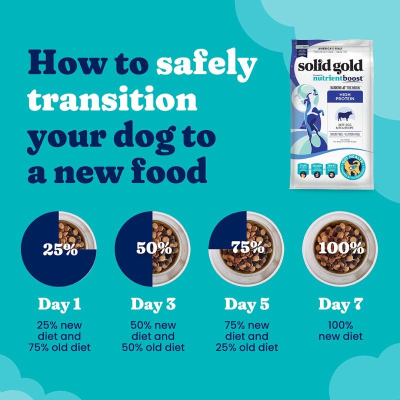 How to Transition Your Dog to a New Diet Safely: Expert Tips | by ...