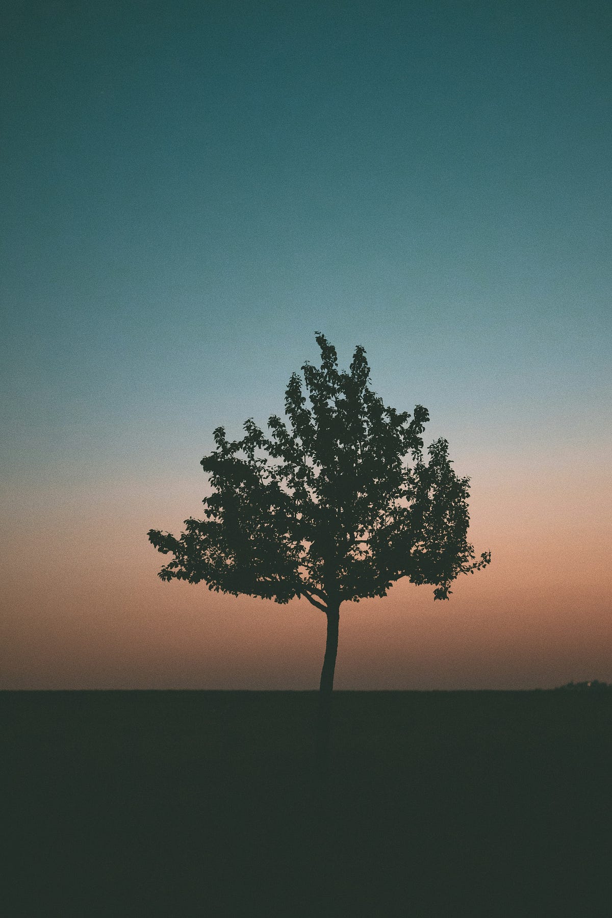 Where Are You Tonight?. A poem | by Light and Paper | Jan, 2025 | Medium