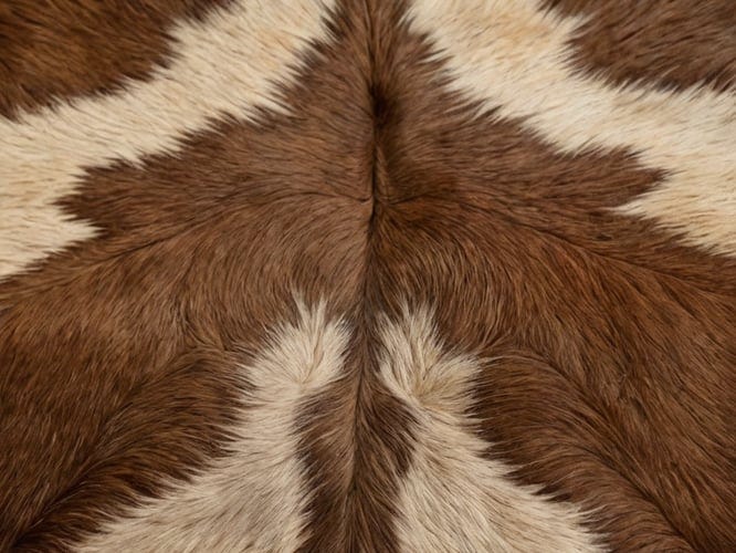 Cow Skins Rugs | by Princess Pollard | Apr, 2024 | Medium