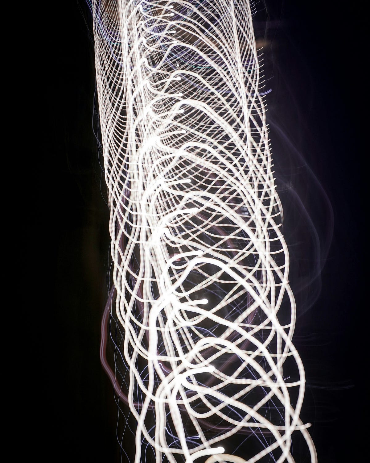 The Spine Is the Signal: Why Your Body Knows Before Your Mind Can ...