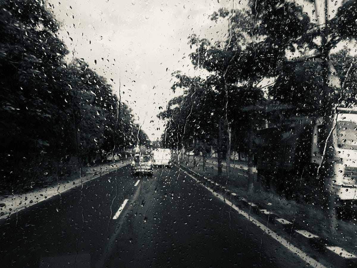 Why Do We Love That “Rain Smell”? The Chemistry of Petrichor | by ...