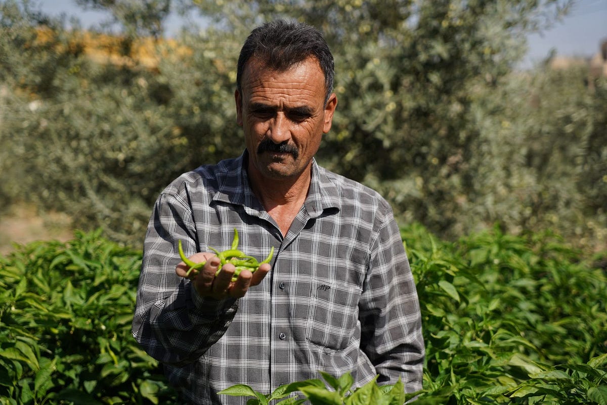 10 Ways USAID is addressing Water Scarcity in Iraq | by USAID Water ...